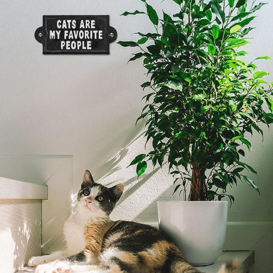 Products – Eastern Sequoia