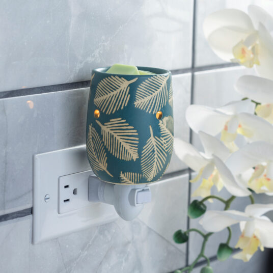Oasis Pluggable Fragrance Warmer – Eastern Sequoia